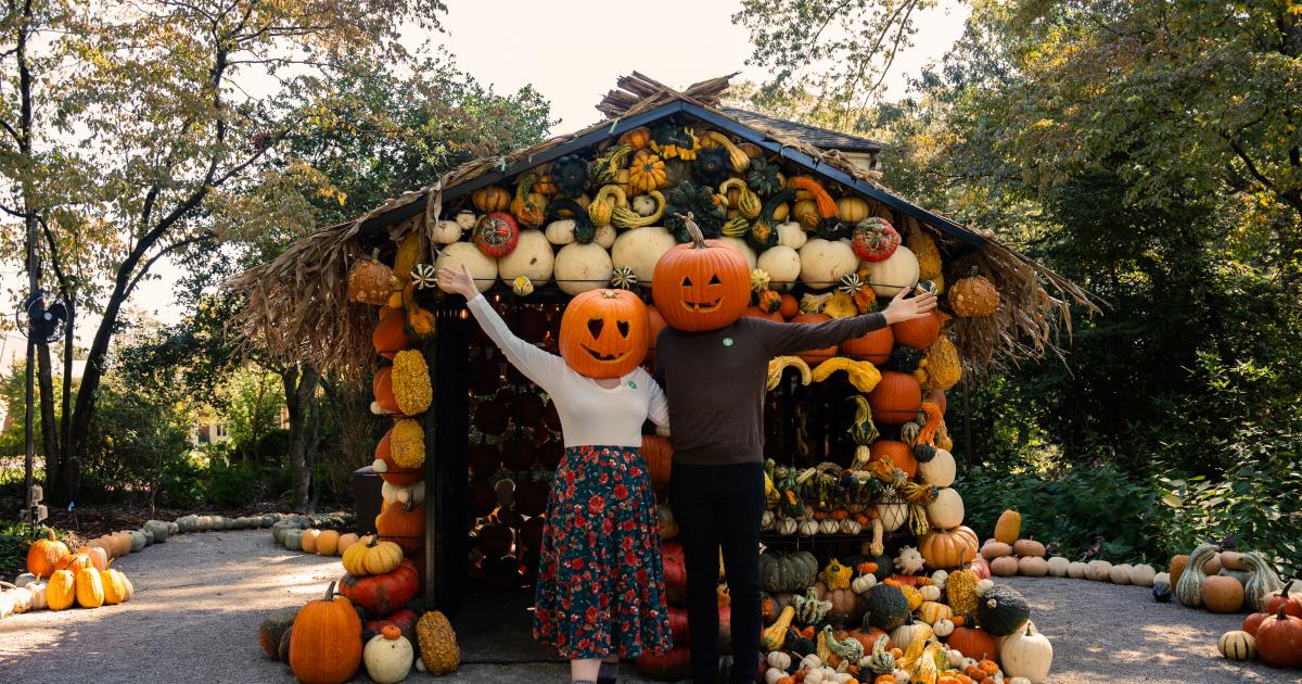 Your Ultimate Fall Bucket List in Memphis | Memphis Travel